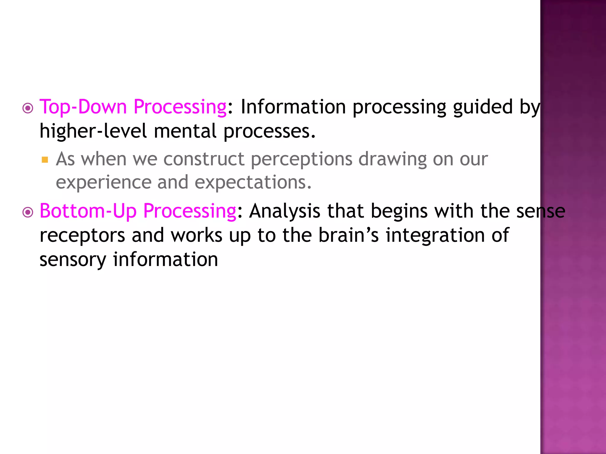 PERCEPTUAL PROCESS | PPTX