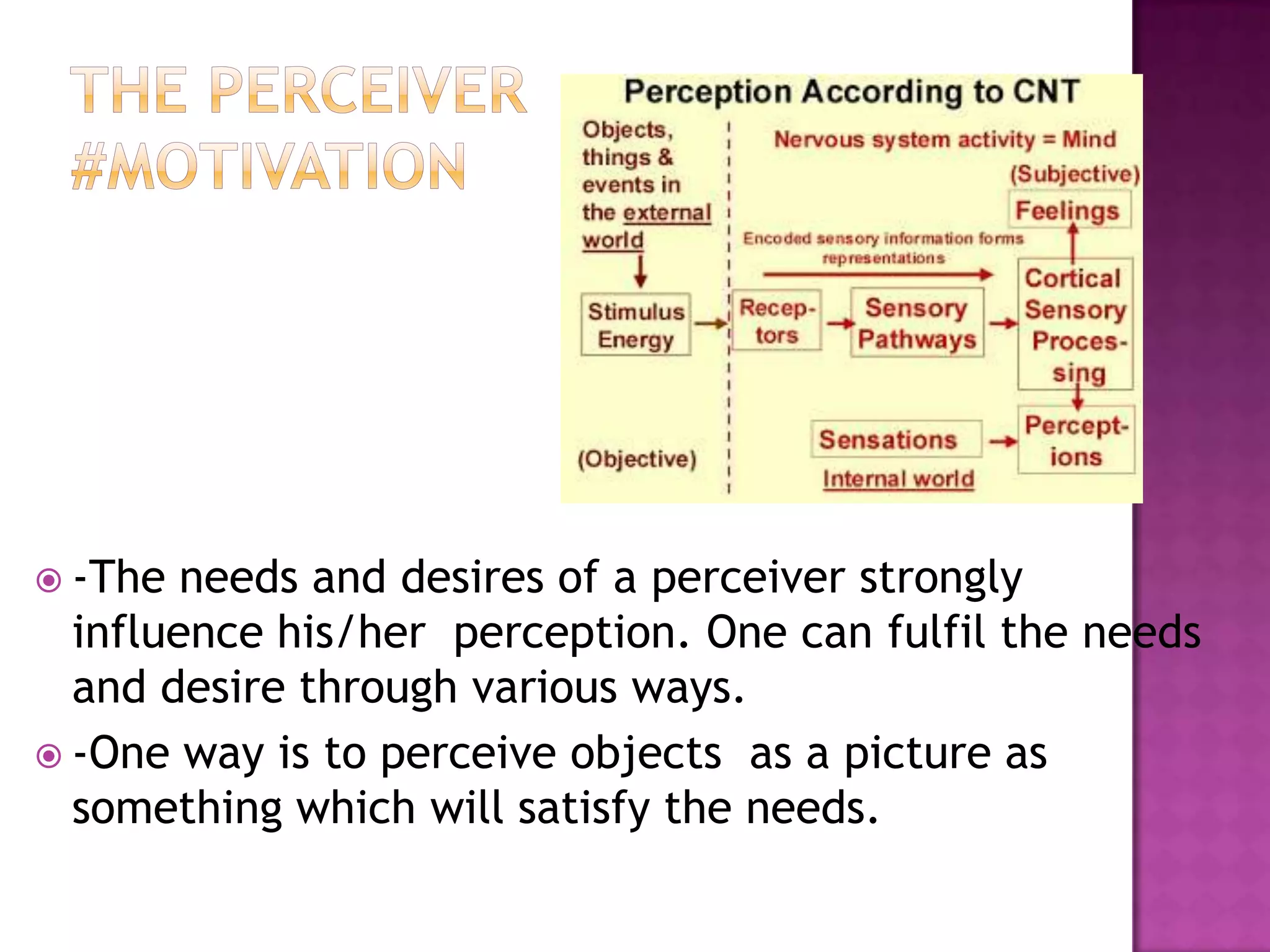 PERCEPTUAL PROCESS | PPTX