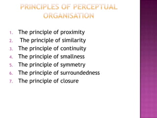 PERCEPTUAL PROCESS | PPTX
