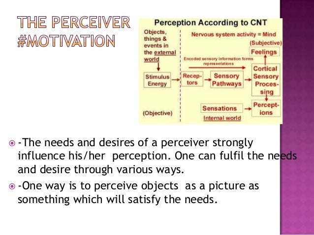 Diagram Of Perceptual Process Perception Process Stimuli Pre