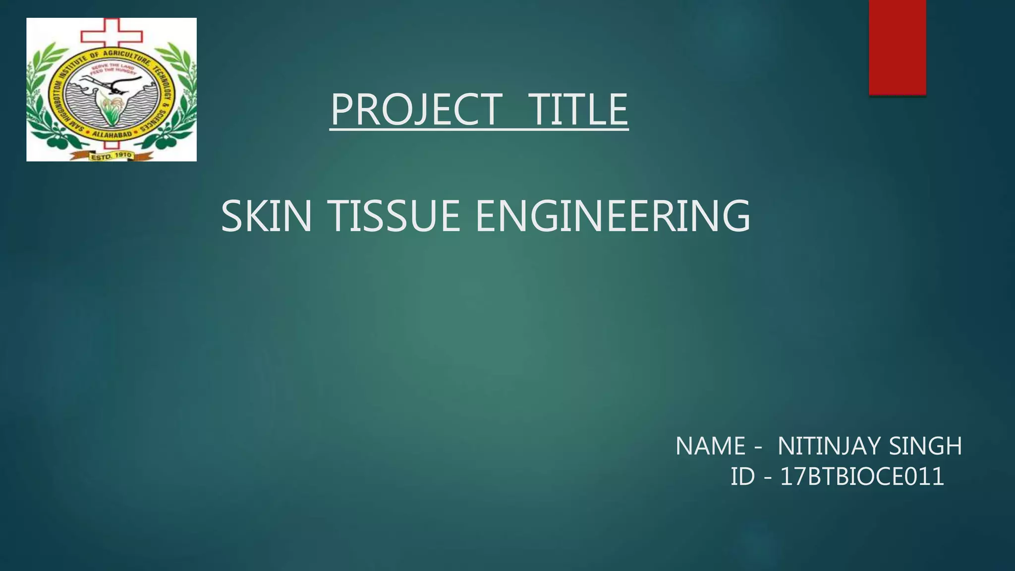 Skin tissue engineering | PPTX