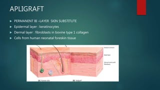 Skin tissue engineering | PPTX