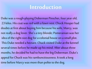 A Dog Named Duke | PPT