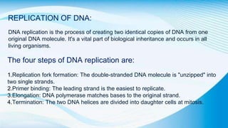 nature structure and replication of DNA PRESENTATION - Copy2.pptx