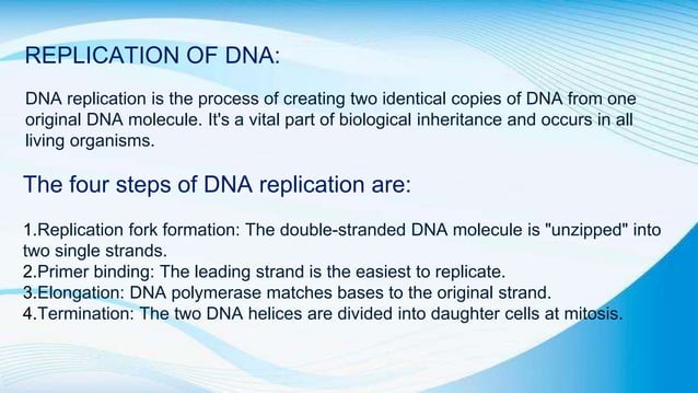 nature structure and replication of DNA PRESENTATION - Copy2.pptx