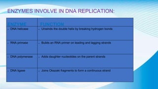 nature structure and replication of DNA PRESENTATION - Copy2.pptx