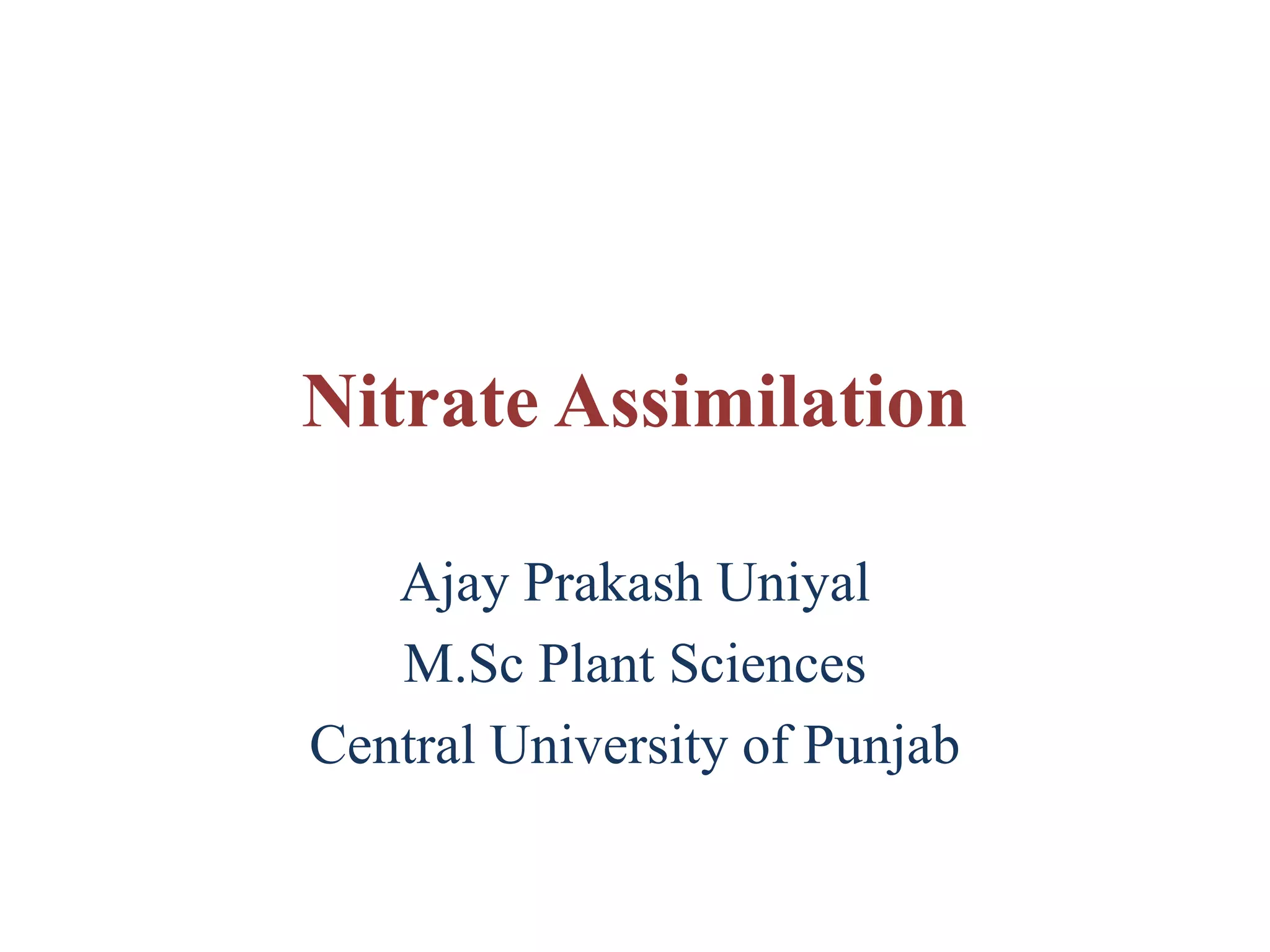 Nitrate assimilation | PPTX
