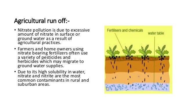 Nitrate contamination