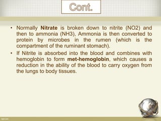 Nitrate poisoning | PPT