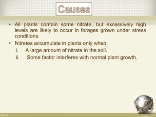 Nitrate poisoning | PPT