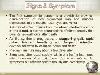Nitrate poisoning | PPT