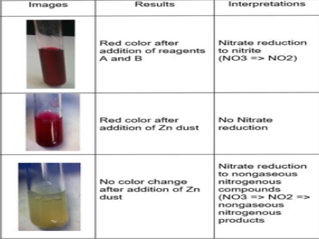 Nitrate reductase test and oxidation-fermentation test.pptx