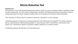 Nitrate reduction | PPTX