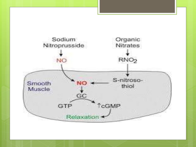 Nitrates | PPTX | Heart and Cardiovascular Diseases | Diseases and ...