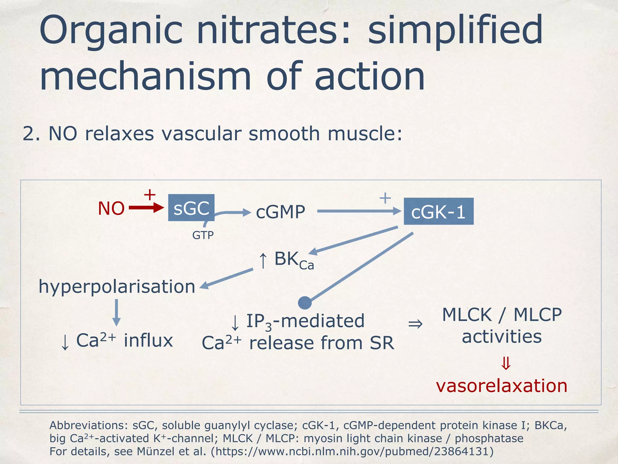 Nitrates iuphar | PPTX | Heart and Cardiovascular Diseases | Diseases ...