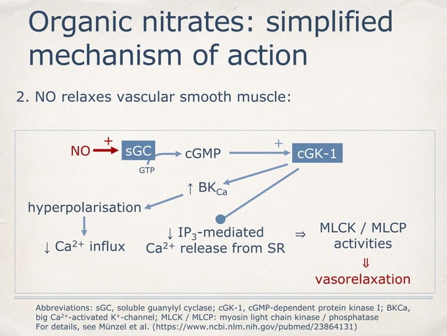 Nitrates iuphar | PPTX | Heart and Cardiovascular Diseases | Diseases ...