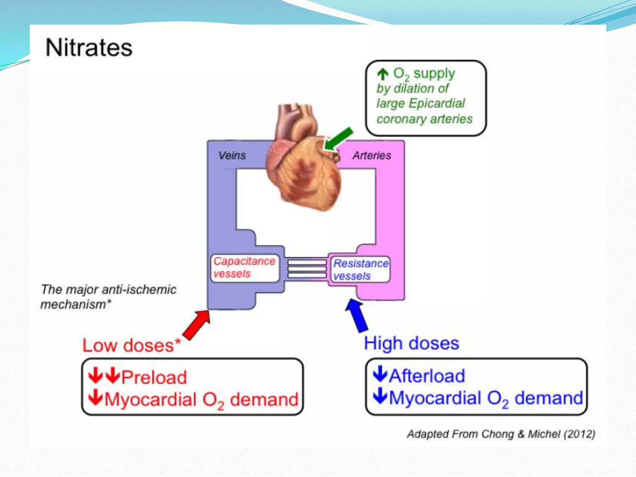 Nitrates | PPTX