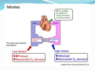 Nitrates | PPTX