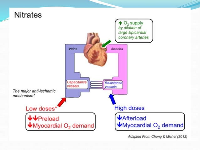 Nitrates | PPTX