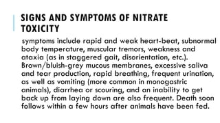 Nitrate Toxicity in Ruminant | PDF | Veterinary Medicine | Pets