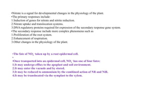 NITRATE UPTAKE, REDUCTION AND ASSIMILATION | PPTX