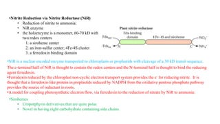 NITRATE UPTAKE, REDUCTION AND ASSIMILATION | PPTX
