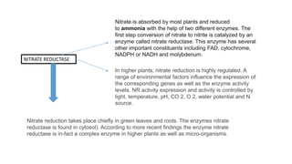 NITRATE UPTAKE, REDUCTION AND ASSIMILATION | PPTX