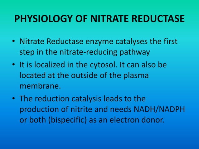 Nitrate uptake and reduction | PDF