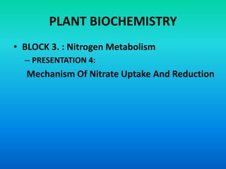 Nitrate uptake and reduction | PDF
