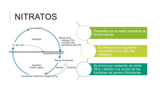 Nitratos | PPTX
