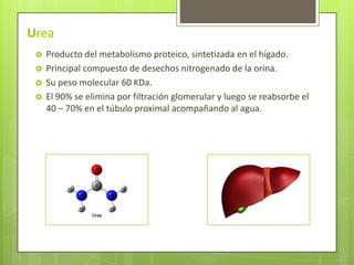 Nitrógeno ureico (BUN) | PPS