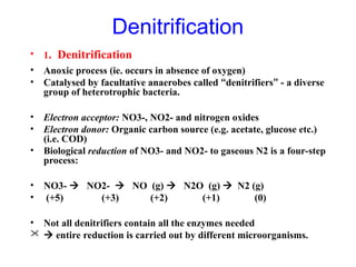 Nitrification Process and Denitrification Process.ppt