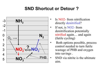 Nitrification Process and Denitrification Process.ppt