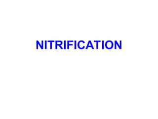 Nitrification Process and Denitrification Process.ppt