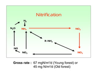 Nitrification Process and Denitrification Process.ppt