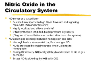 nitric oxide and its chemical reactions.ppt