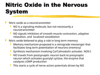 nitric oxide and its chemical reactions.ppt
