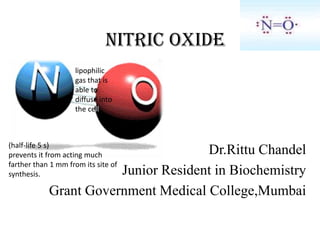 Nitric oxide | PPT