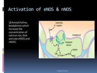 Nitric oxide | PPTX