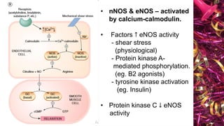 Nitric oxide | PPTX