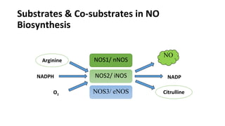 Role of Nitric oxide & Nitric oxide synthases (NOS) | PPT