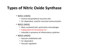 Role of Nitric oxide & Nitric oxide synthases (NOS) | PPT