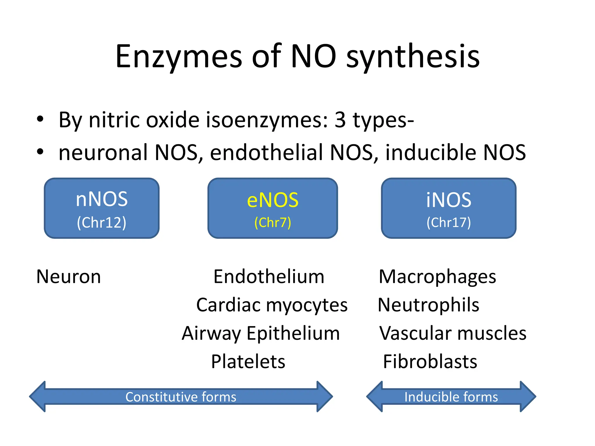 NITRIC OXIDE AND VASOACTIVE PEPTIDE SIGNAL MOLECULE.pptx