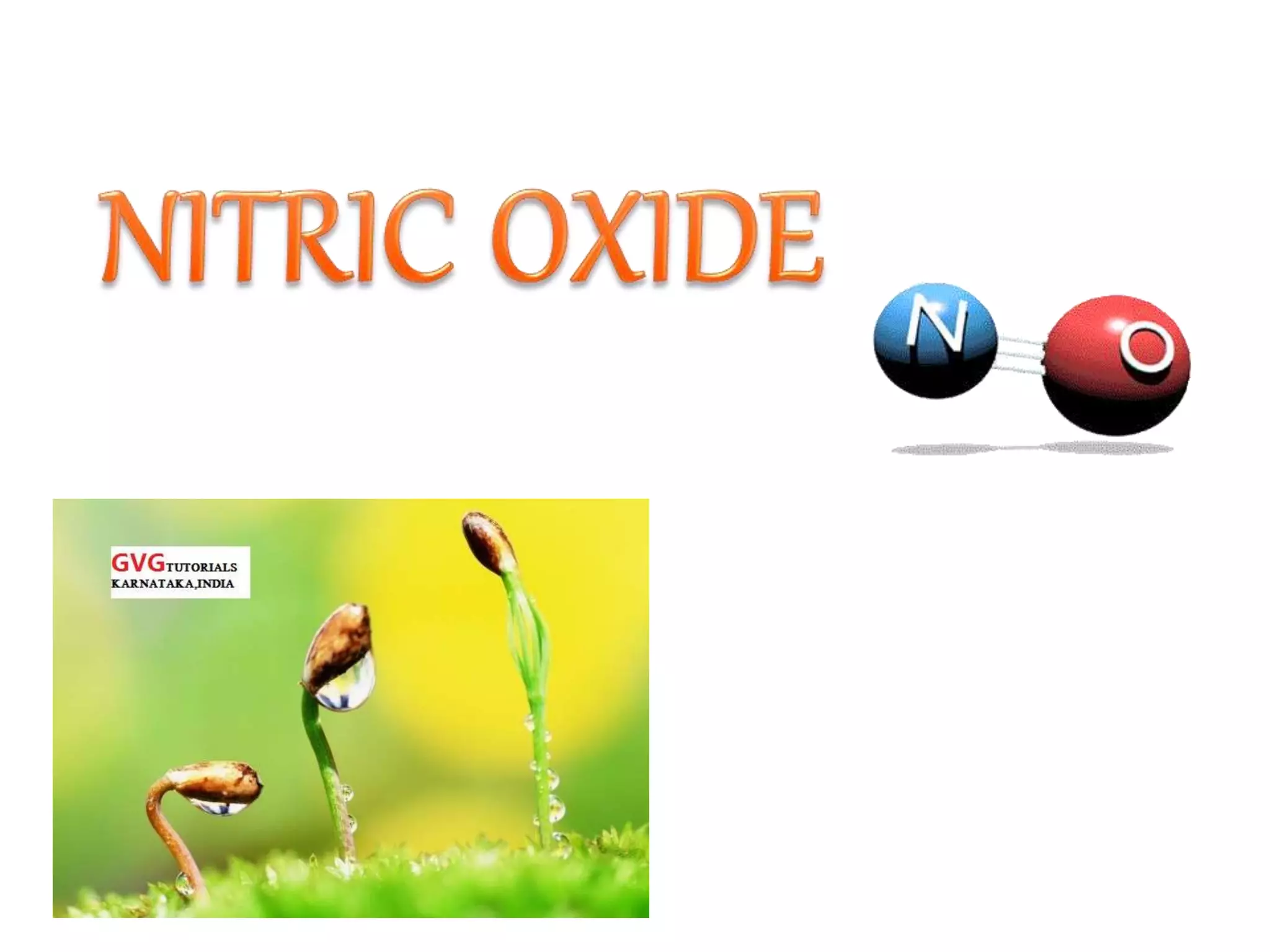 Nitric oxide ppt.pptx