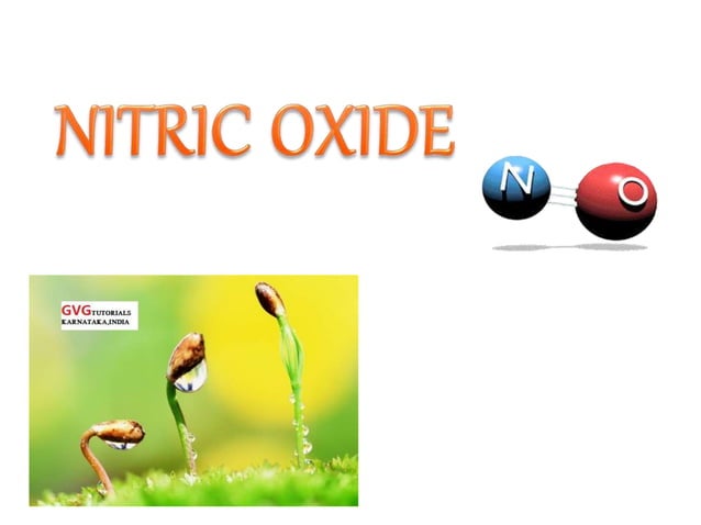 Nitric oxide ppt.pptx | Biological Sciences | Science