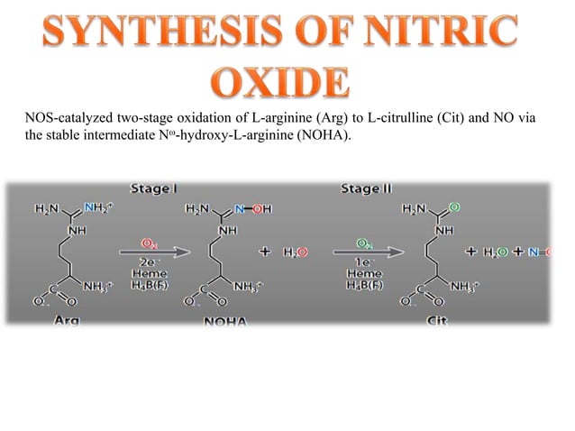 Nitric oxide ppt.pptx | Biological Sciences | Science