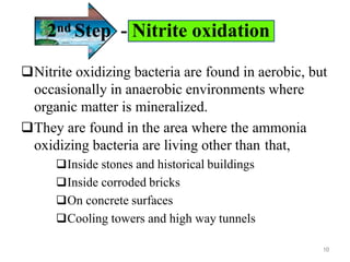 Nitrification process | PPTX