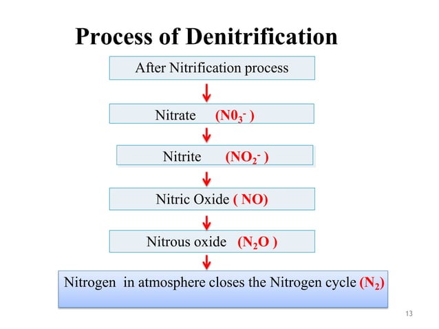Nitrification process | PPTX | Chemistry | Science