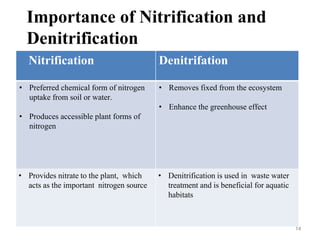 Nitrification process | PPTX