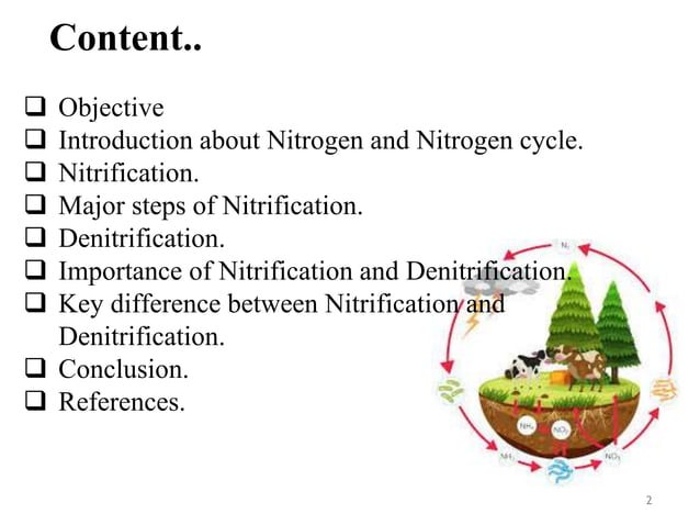 Nitrification process | PPTX | Chemistry | Science